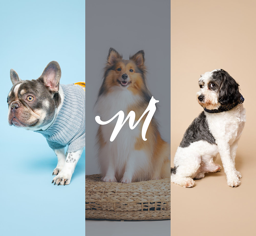 Moki and Co - We are here to make a difference in the petcare industry.